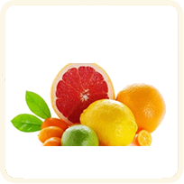 Ingredients - Creative Ingredients